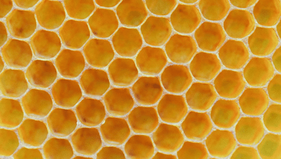 Immutable Value Objects Are Simpler And More Useful Than You Think